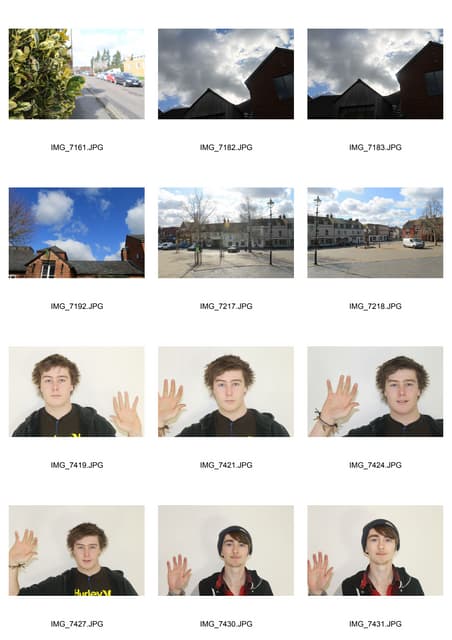 Alexander hellman | PPTX