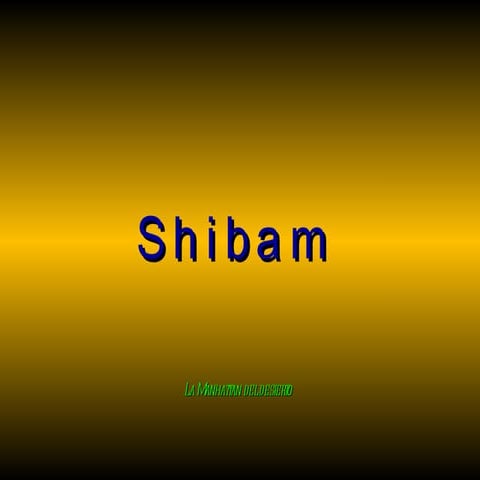 Shibam | PPS