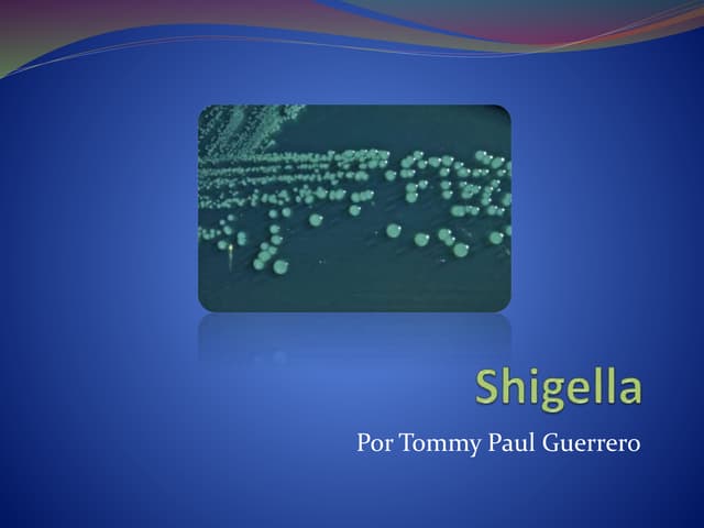 Shigellosis | PPT