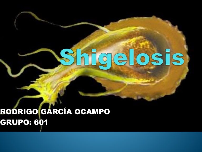 Shigelosis
