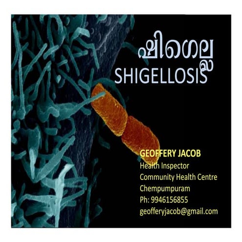 Shigella | PPT
