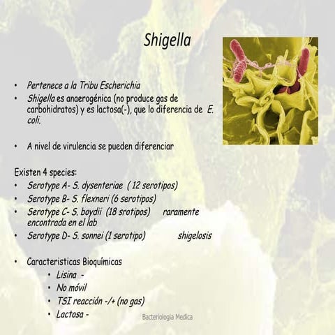 Shigellas | PPTX