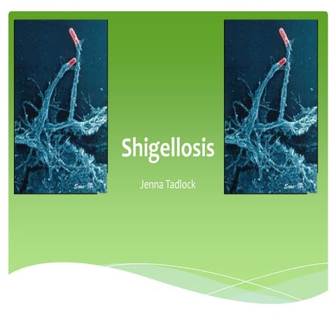Shigellosis | PPTX