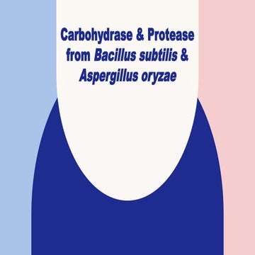 Carbohydrase & Protease from Bacillus subtilis & Aspergillus oryzae.pptx