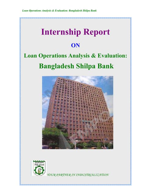 Complete Internship Report Bank Of Punjab.pdf