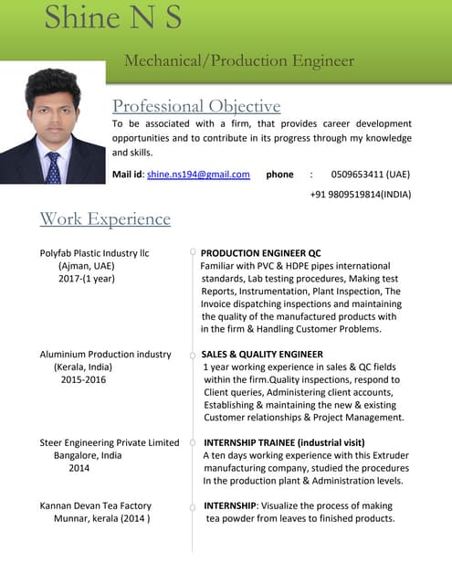 jayesh new resume | PDF