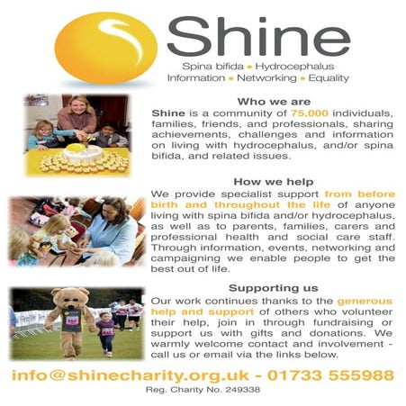 Shine leaflet | PDF | Brain and Nervous System Disorders | Diseases and ...