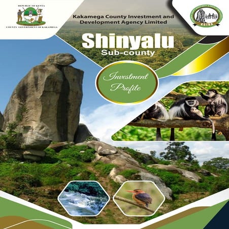 SHINYALU-SUBCOUNTY-PROFILE.pdf