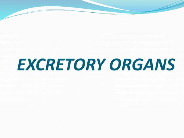 Alsado npractice | PPTX