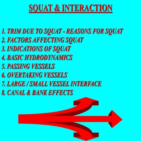 SHIP SQUAT AND INTERACTION EFFECTS PPT.ppt