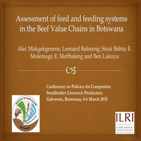Assessment of feed and feeding systems in the beef value chains in ...