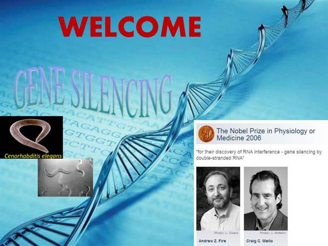 Gene silencing | PPTX