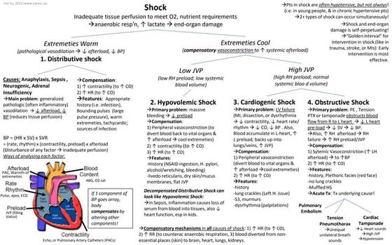 Dka hhs-pathogenesis | PPT