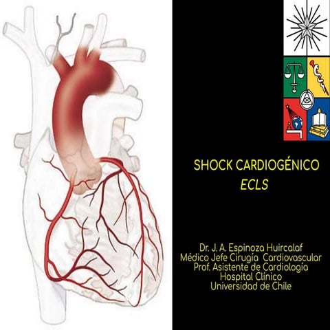 SHOCK CARDIOGENICO.pdf