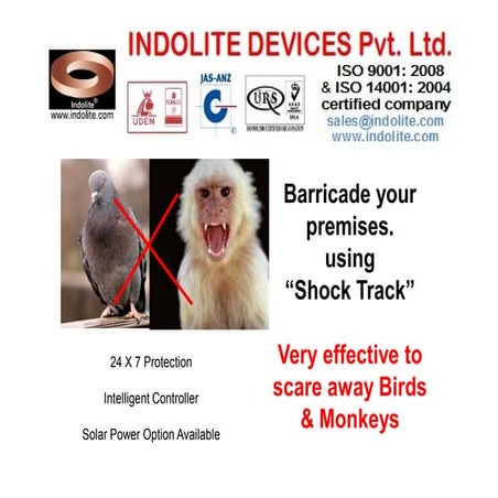 monkey menace solution , freedom from monkey problms | PDF