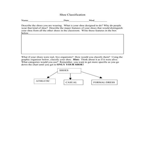 Shoe classification | PDF