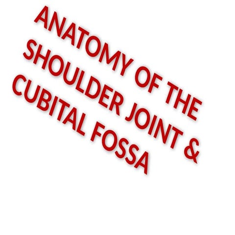 anatomy of shoulder joint and cubital fossa .ppt