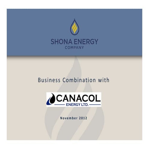 Investor Presentation | PDF
