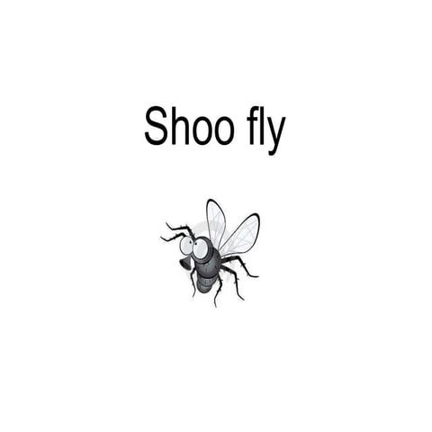 Shoo fly | PPT