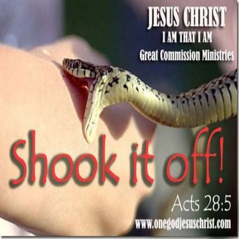 Shook it off! | PPT