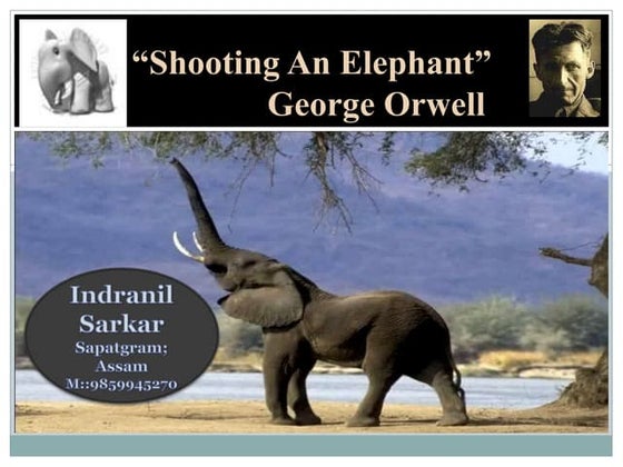 Shooting An Elephant George Orwell Essay | PDF