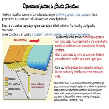 Shoreface Depositional Pattern in different sedimentary basins.pptx