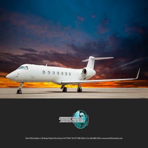 Private Jet Chartering | PDF