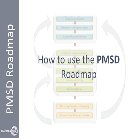 How to use the PMSD Roadmap | PDF
