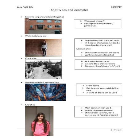 Shot type examples | DOCX