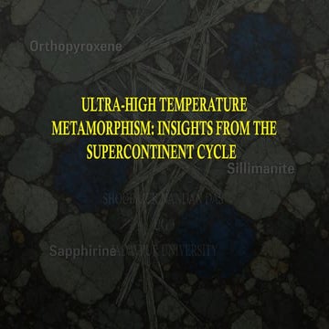 SHOUBHICK NANDAN DAS research seminar.pptx