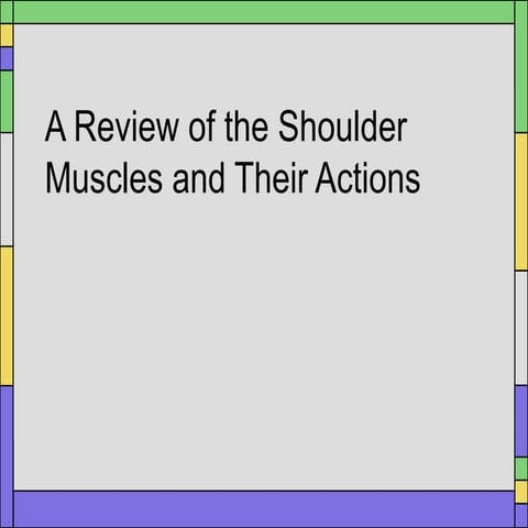 Shoulder anatomy | PPT