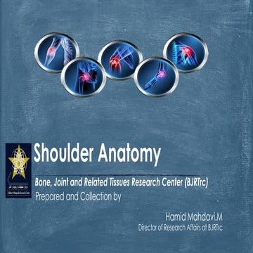 Shoulder anatomy | PDF
