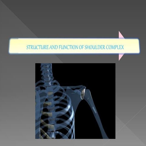 Shoulder complex | PPTX