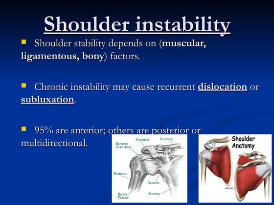 Shoulder Anatomy Ppt Introduction To The Muscular System