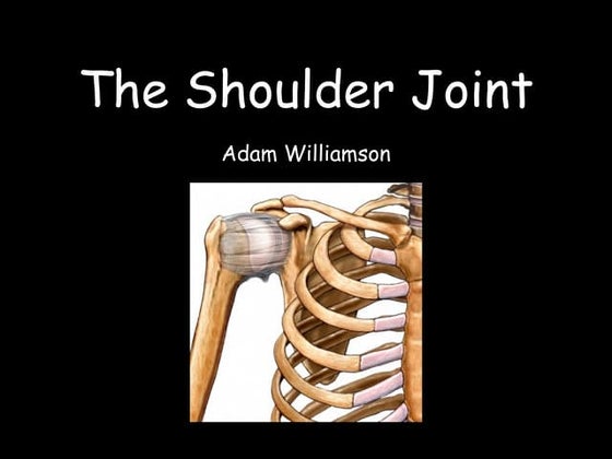 Deltoid muscle, origin insertion and movement | PPT