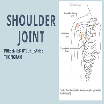 Anastomosis around shoulder joint, anatomy | PPTX