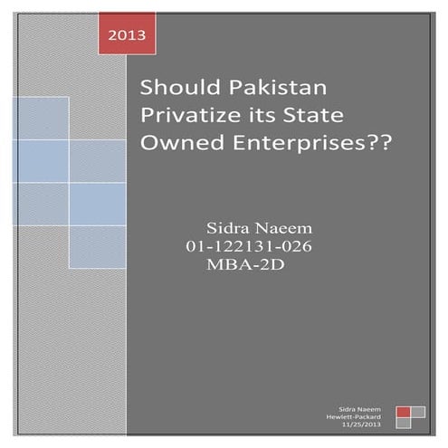 Should pakistan privatized its state own enterprises? | DOCX