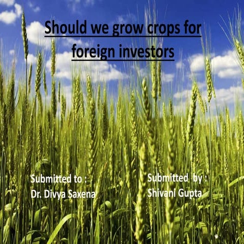 Should we grow crops for foreign investors | PPTX