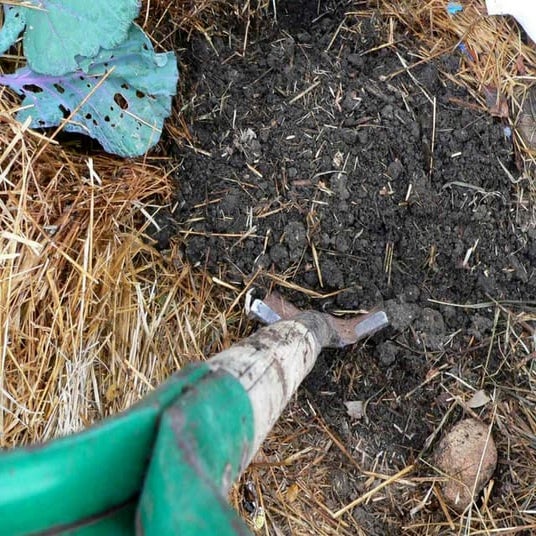 Shovel | PDF