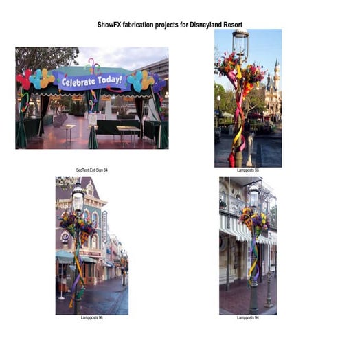 ShowFX DLR Projects 2009 | PPT