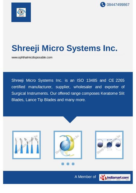 Shreeji Micro Systems Inc. | PPT