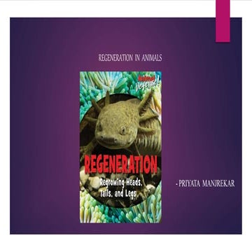 Regeneration in animals except earthworm | PPTX