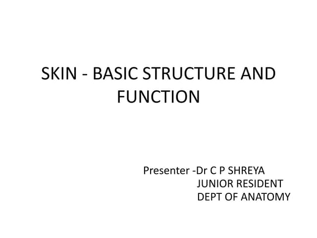 Skin anatomy | PPT