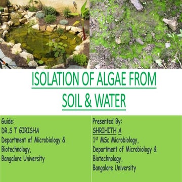 Shrihith's ppt on isolation of algae from soil & water | PPTX