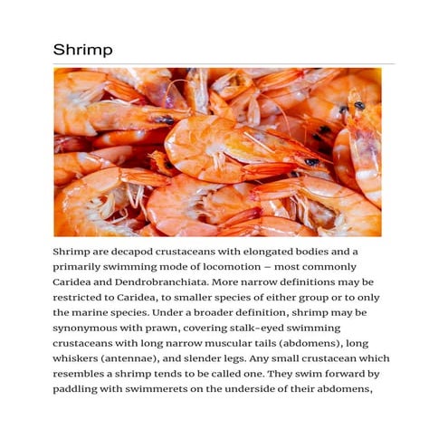 Shrimp | PDF