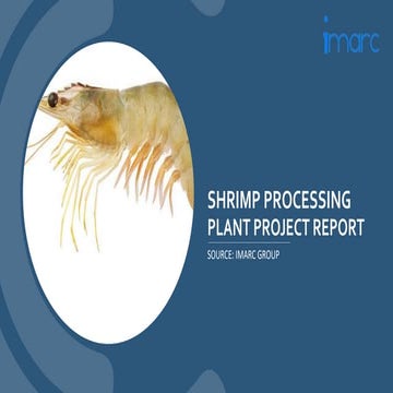 Shrimp Processing Plant Project Report.pptx