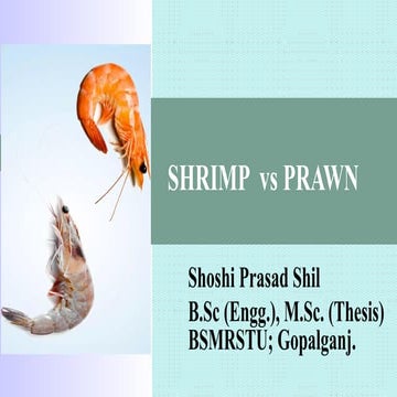 The difference between Shrimp & Prawn.pptx