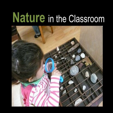 Nature in the Classroom | PPTX