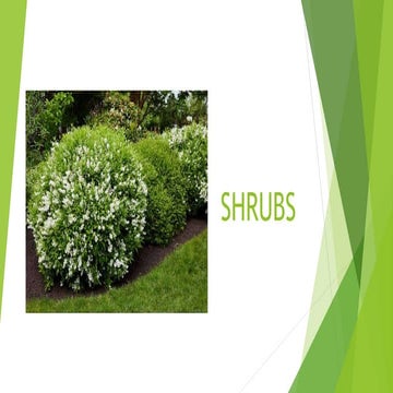 shrubs.pptx