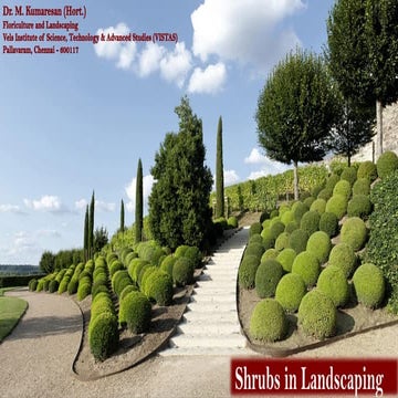 Landscape uses of foliage and flowering Shrubs | PDF